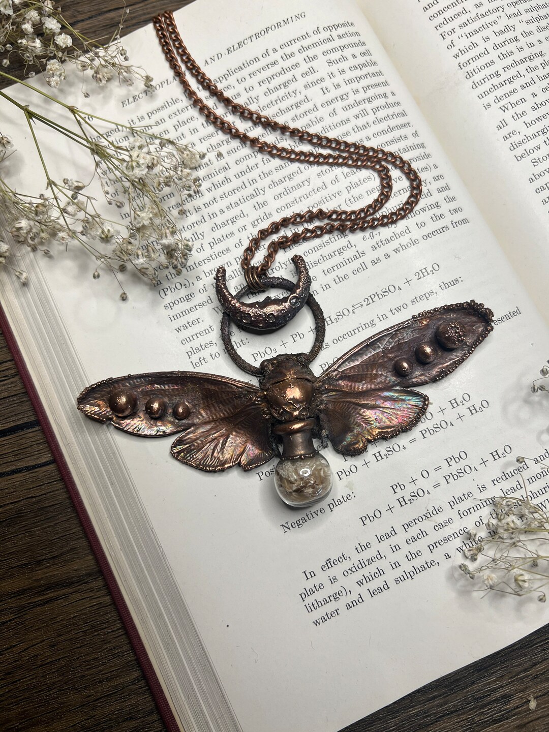 Real Cicada + Potion Bottle // Snake Skin Shed // 3D Printed Moon ...