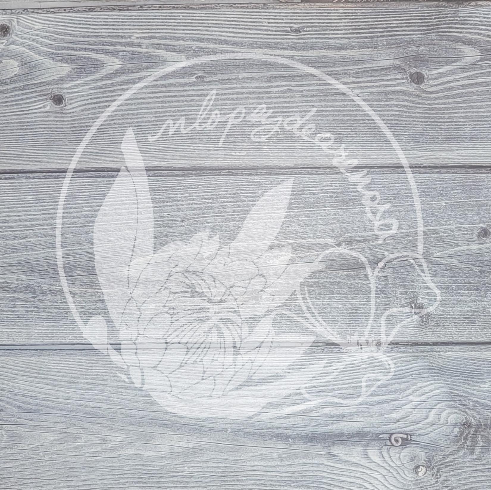 Spiritbox Tsunami Sea Acrylic Vinyl Record Coasters Set - Etsy