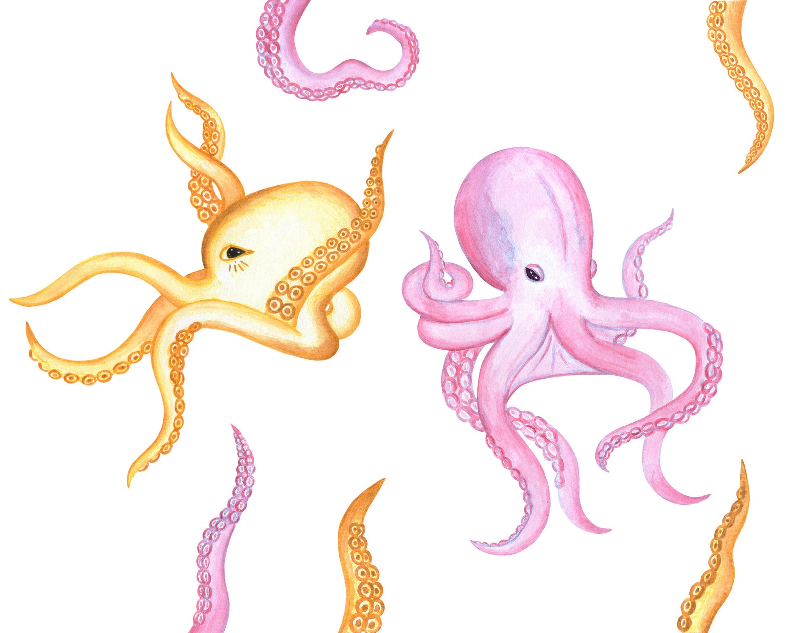 Watercolor Octopus Clipart Octopus Print Sea Digital Paper - Etsy