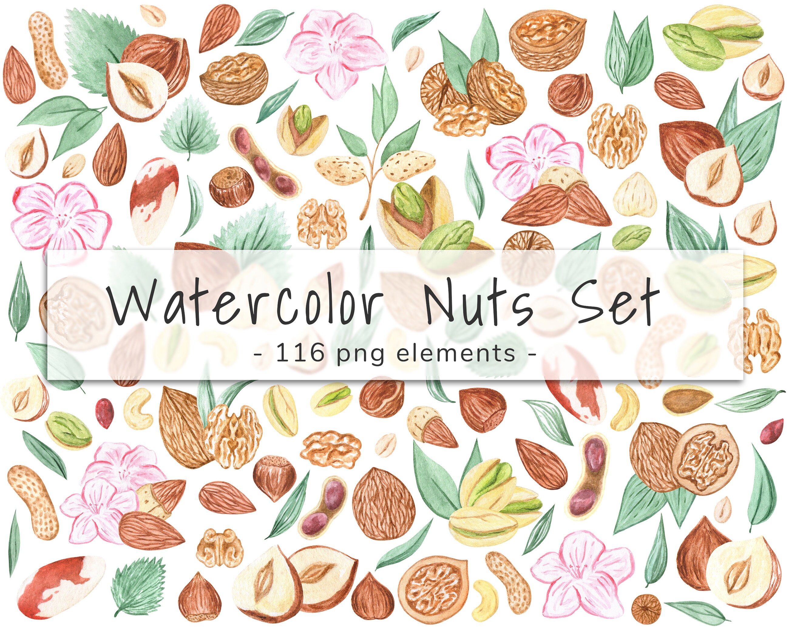 Nuts Clipart Watercolor Food Set Hand Draw Food Instant Download. - Etsy