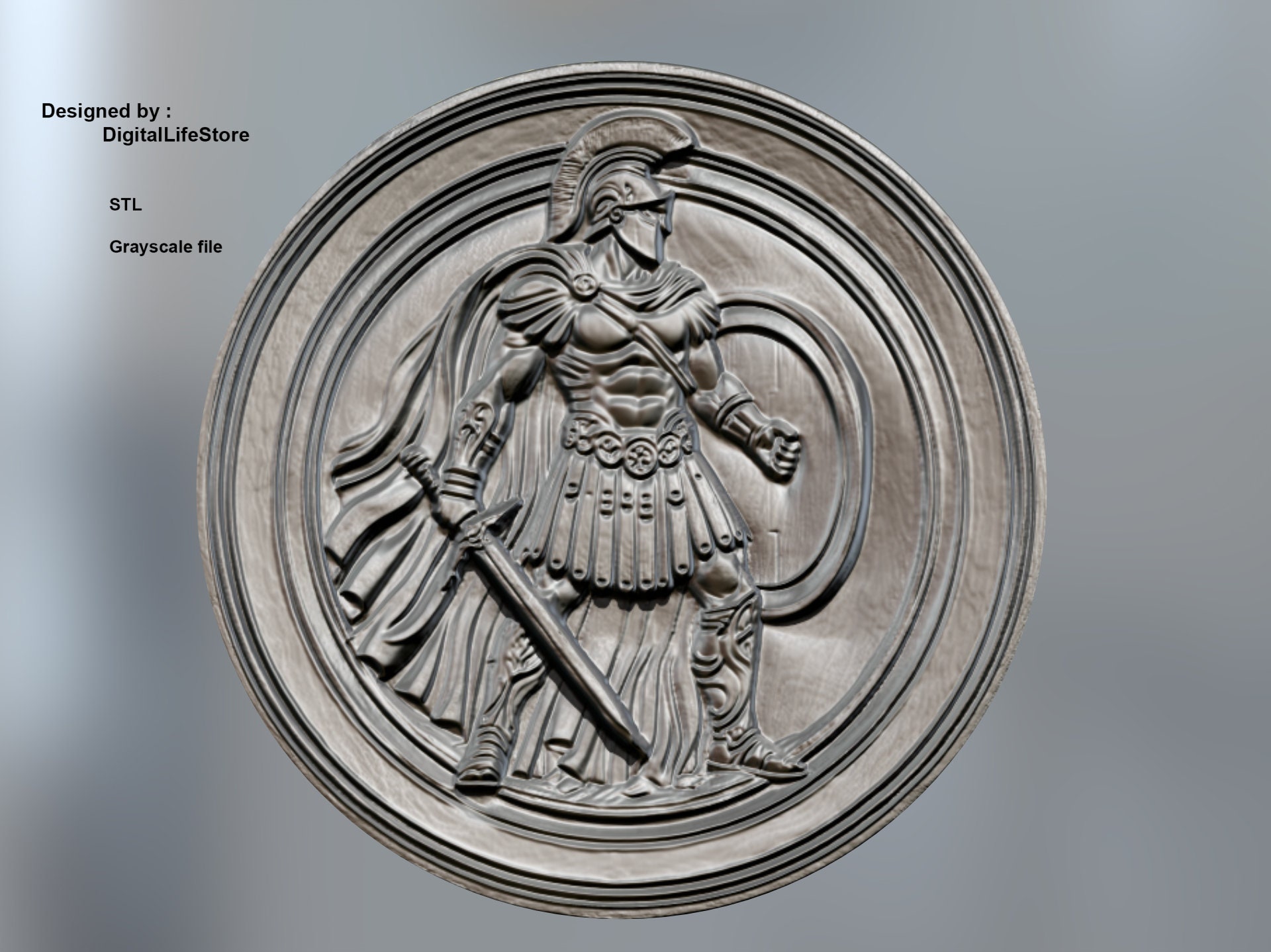 Spartan Warrior Coin 3D Engraving Files: Fiber Laser Designs (STL) - Etsy