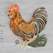 Rooster Multilayered Laser Cut Files,cnc Laser Cut Vector,laser ...