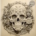 Skull 3d Illusion Laser Engraving Files With Glowforge Setting ,skull ...