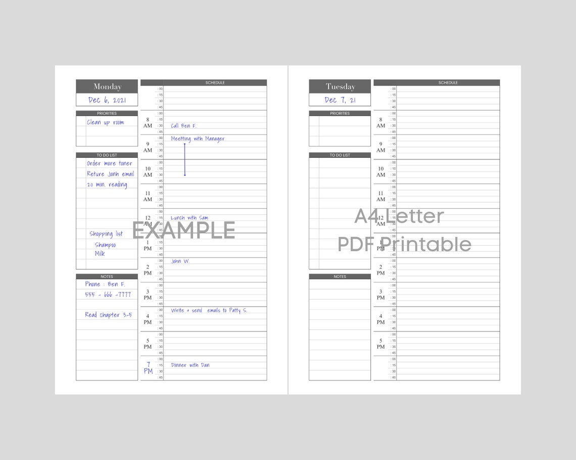 Daily Appointments Template Printable, Appointment Sheet Undated Daily ...