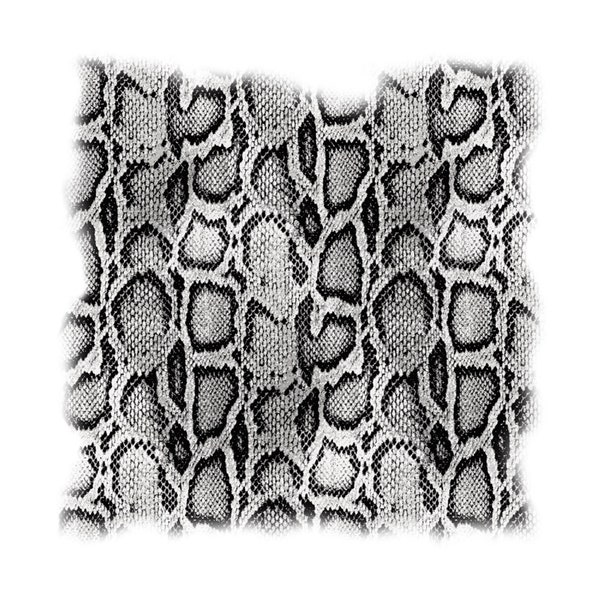 Snake Art Print - Etsy