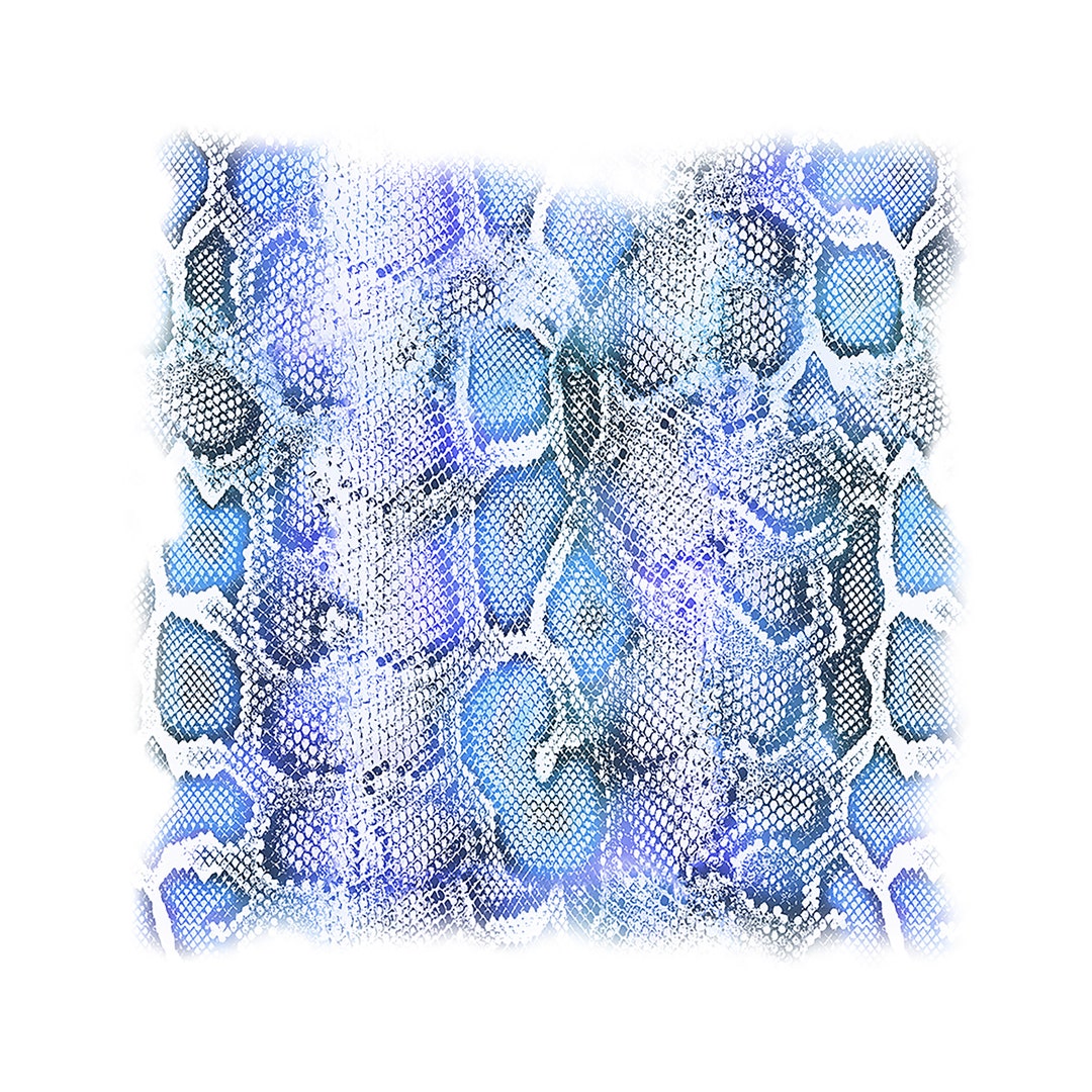 Snake Print Blue PNG Sublimation Designs • Cian Summer Color Image ...