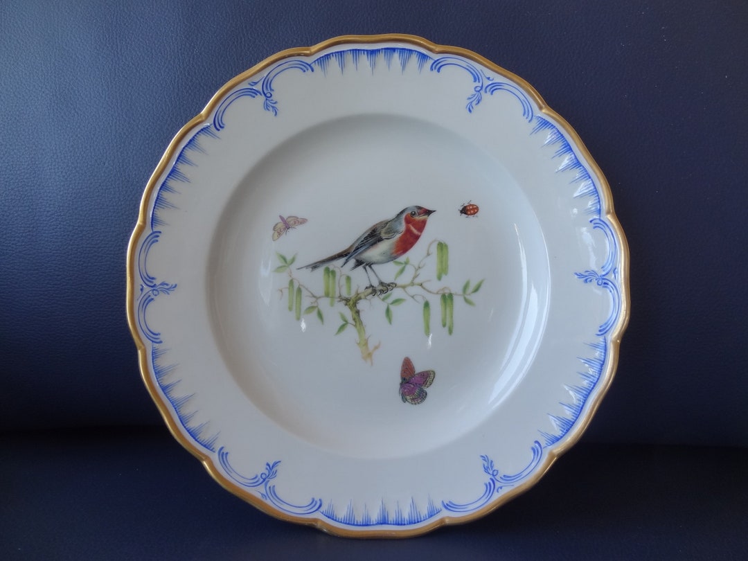 KPM Berlin, Collection Plate, 1849-1870, Robin, Ladybug, Butterfly - Etsy