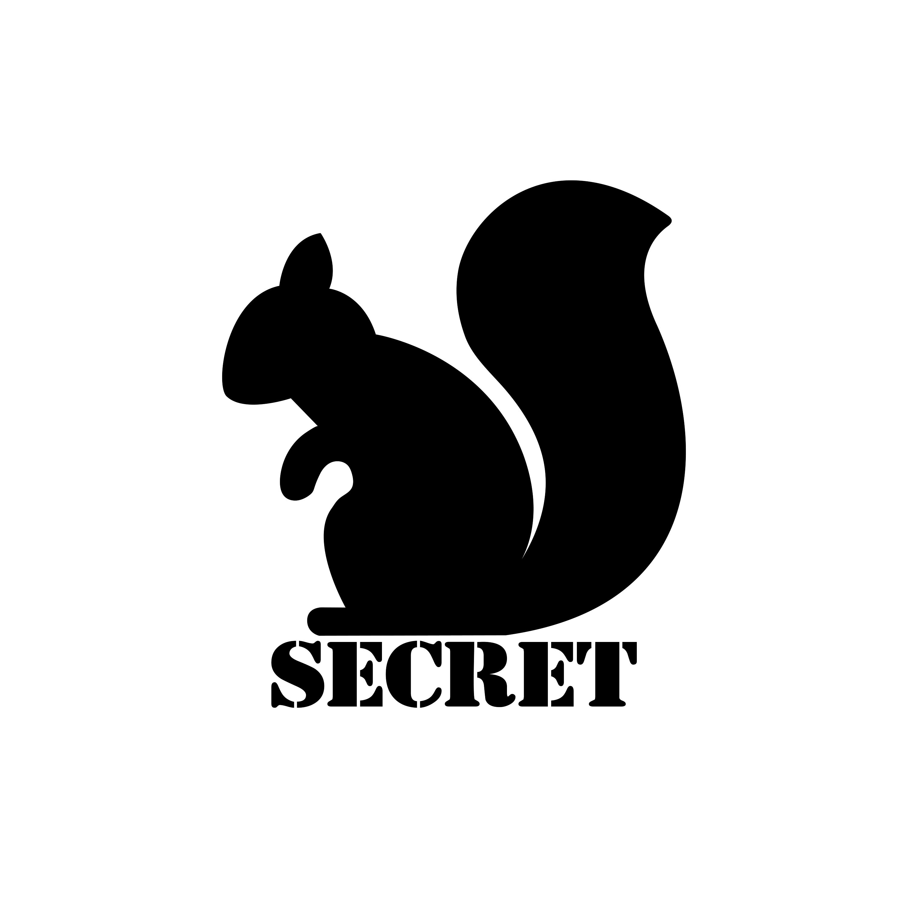 Military secret squirrel vinyl decal sticker for car truck - Etsy 日本