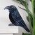 African Grey Parrot Door Topper, Wooden Parrot Decoration for Door ...