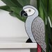 African Grey Parrot Door Topper, Wooden Parrot Decoration for Door ...