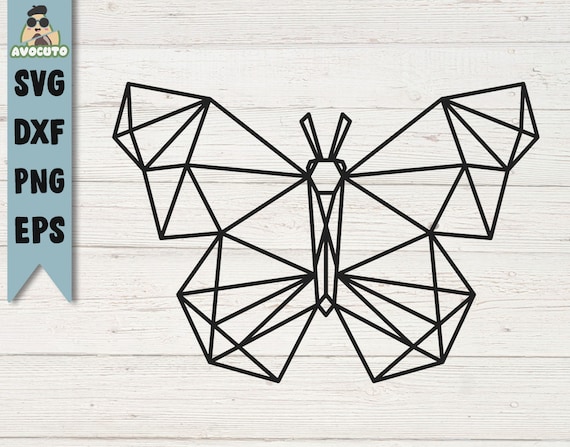 Geometric Butterfly Designs