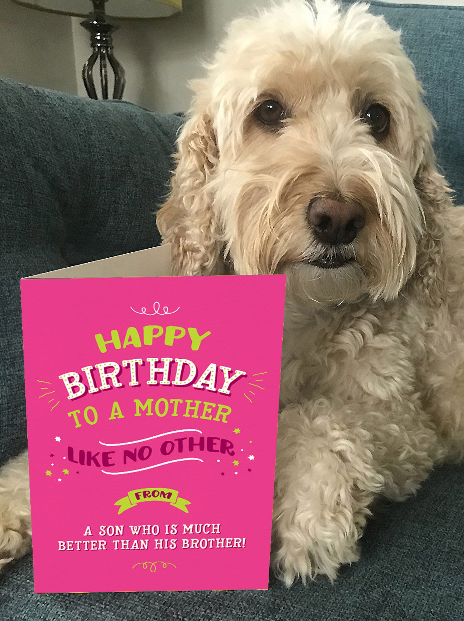 Funny Birthday Card For Mum Cheeky Mum Cards Hilarious Etsy