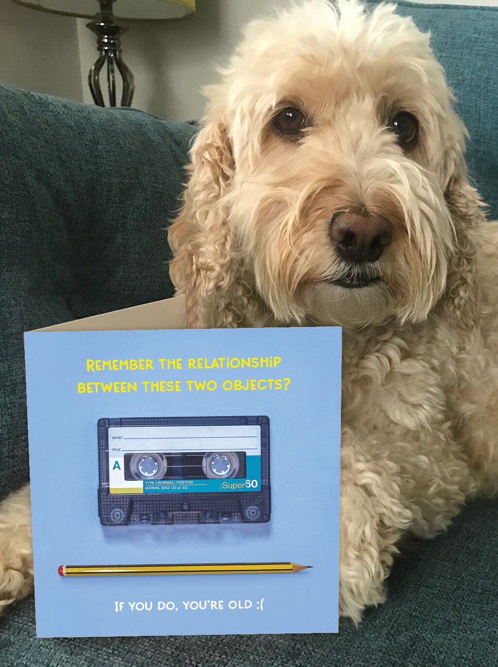 Funny Cards for Men Women Funny Birthday Cards for Him Her | Etsy