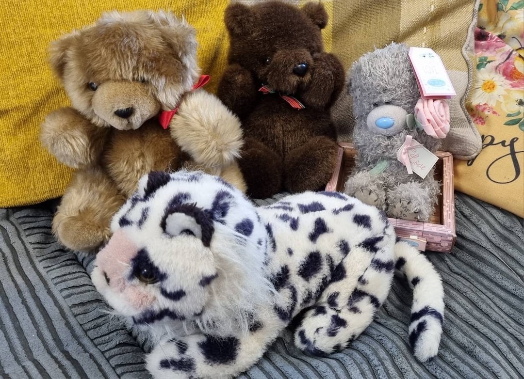 Vintage Teddy Bear 4x Collection Pms, Mr Ted, Pms Leopard Collectable ...