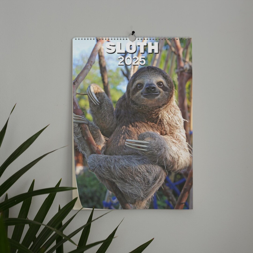 Sloth Wall Calendar 2025 - Etsy