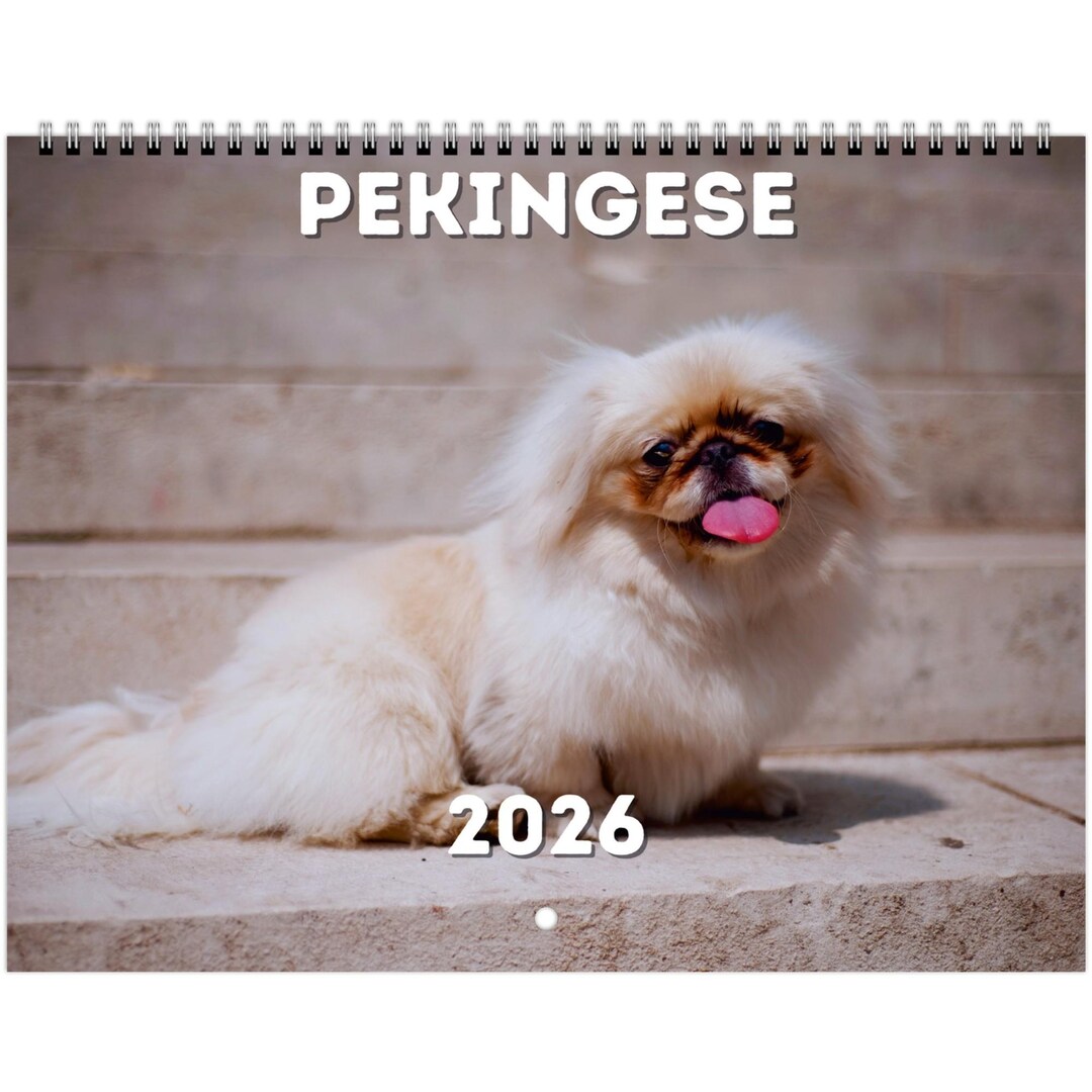Pekingese Wall Calendar 2026 - Etsy