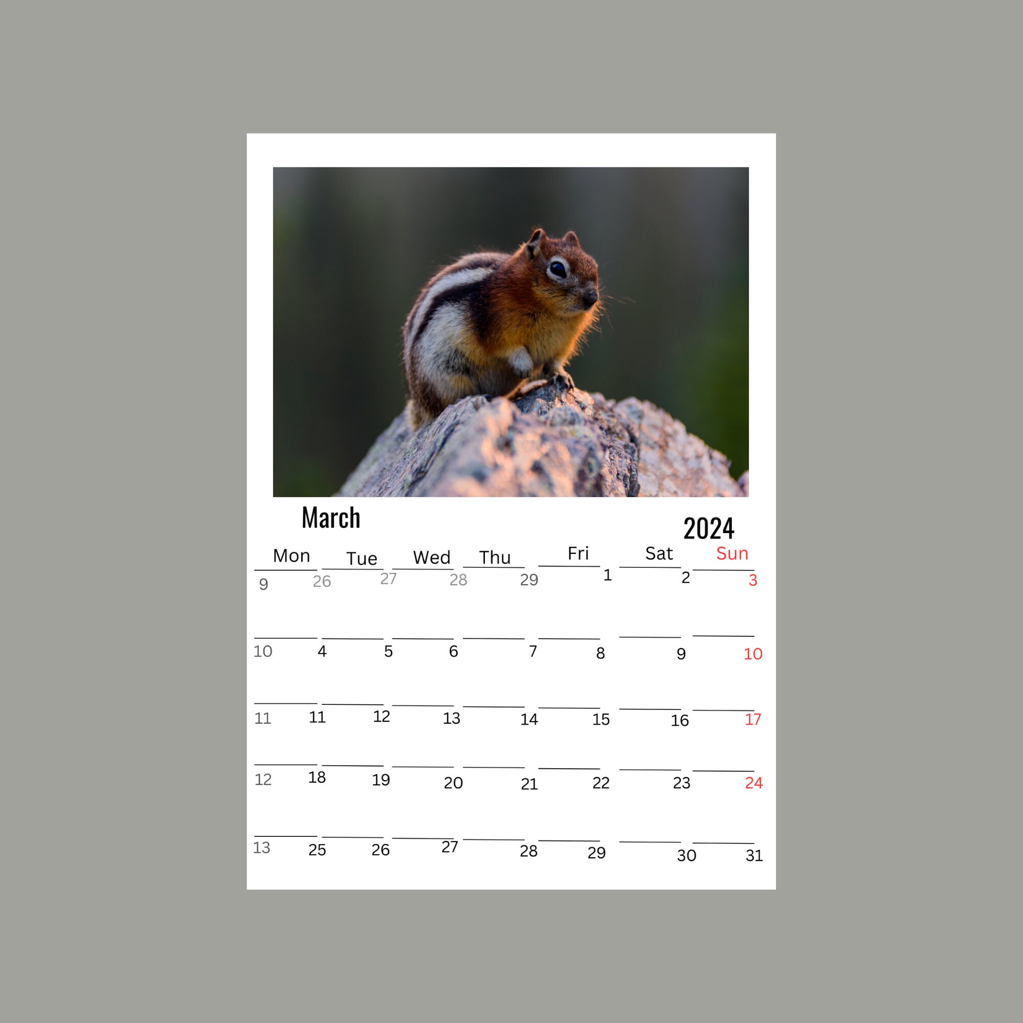 Chipmunks Wall Calendar 2024 - Etsy