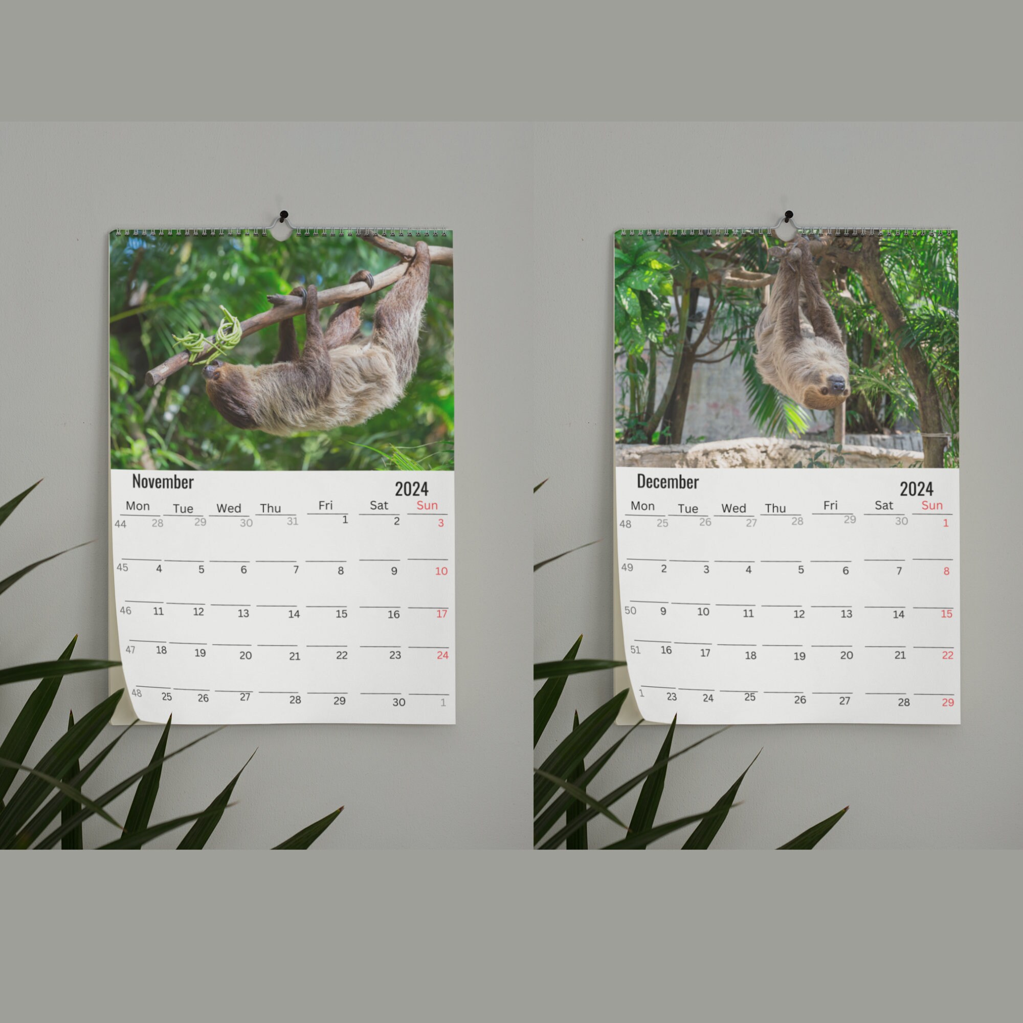 Sloths Calendar 2024 - Etsy