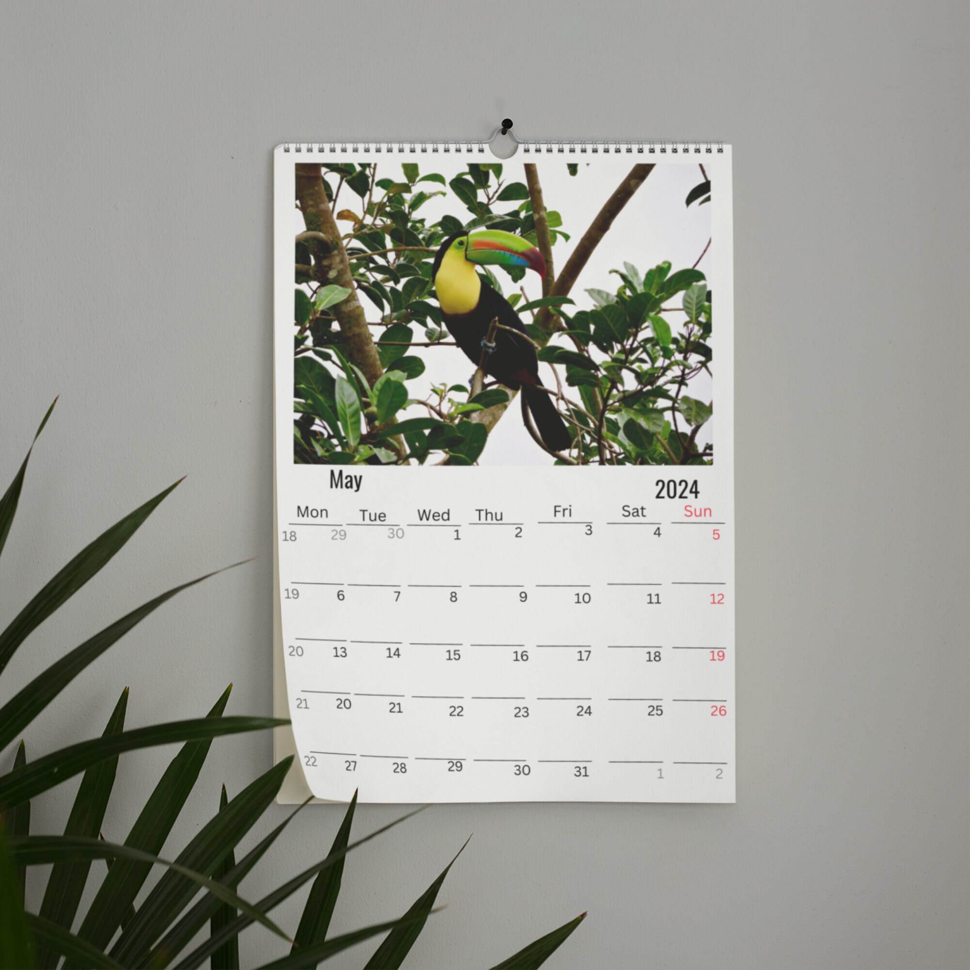 Toucan Wall Calendar 2024 - Etsy