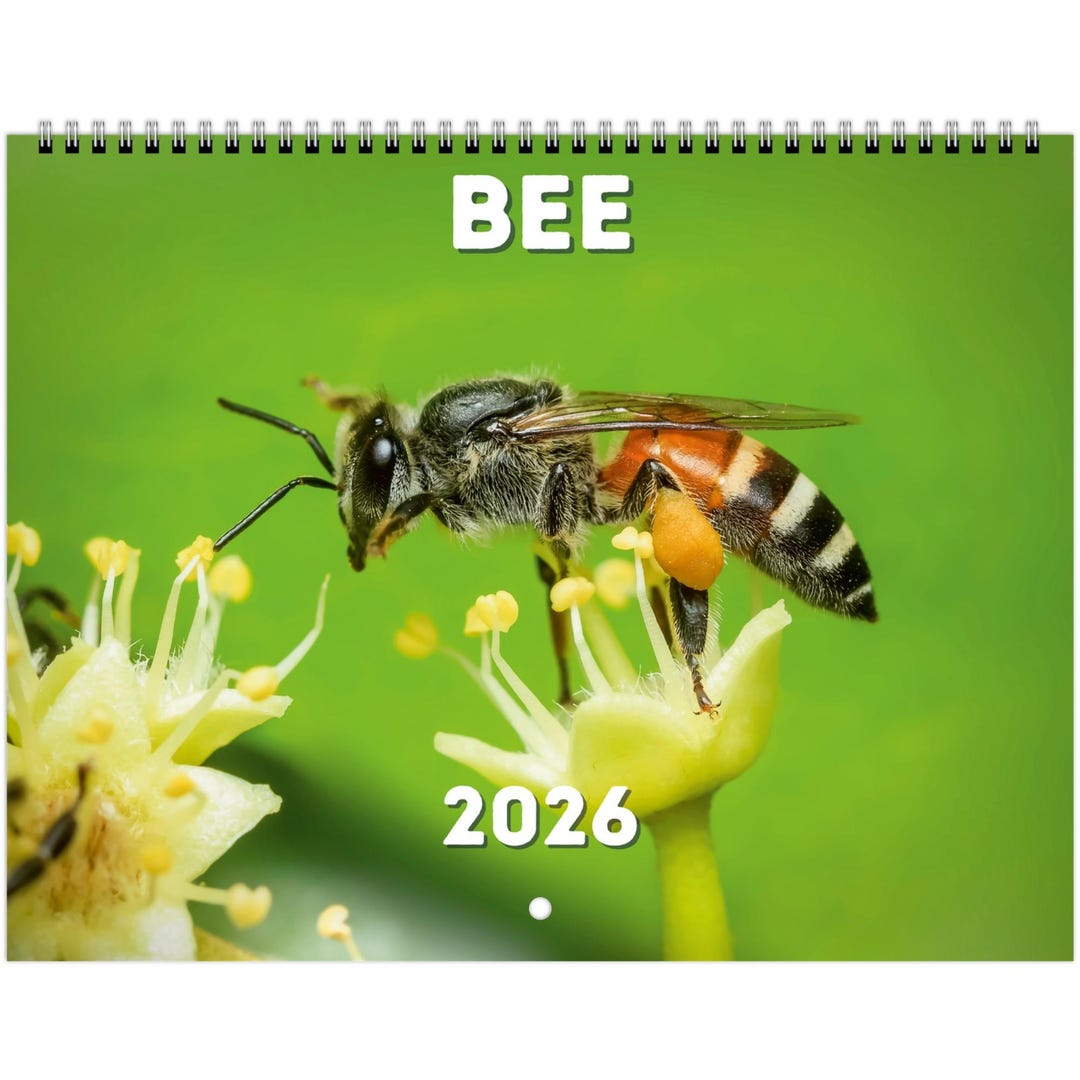 Bee Wall Calendar 2026 - Etsy