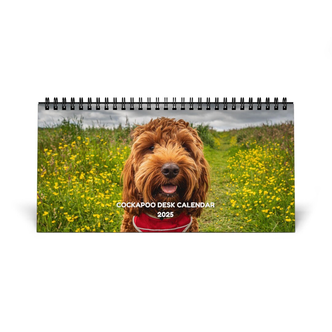 Cockapoo Desktop Calendar 2025 - Etsy