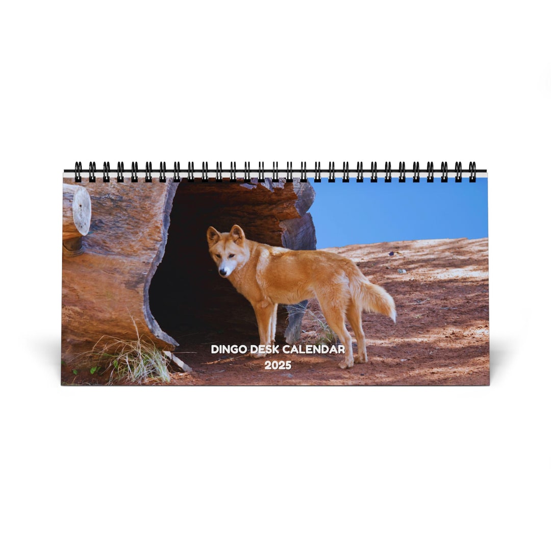 Dingo Desktop Calendar 2025 - Etsy