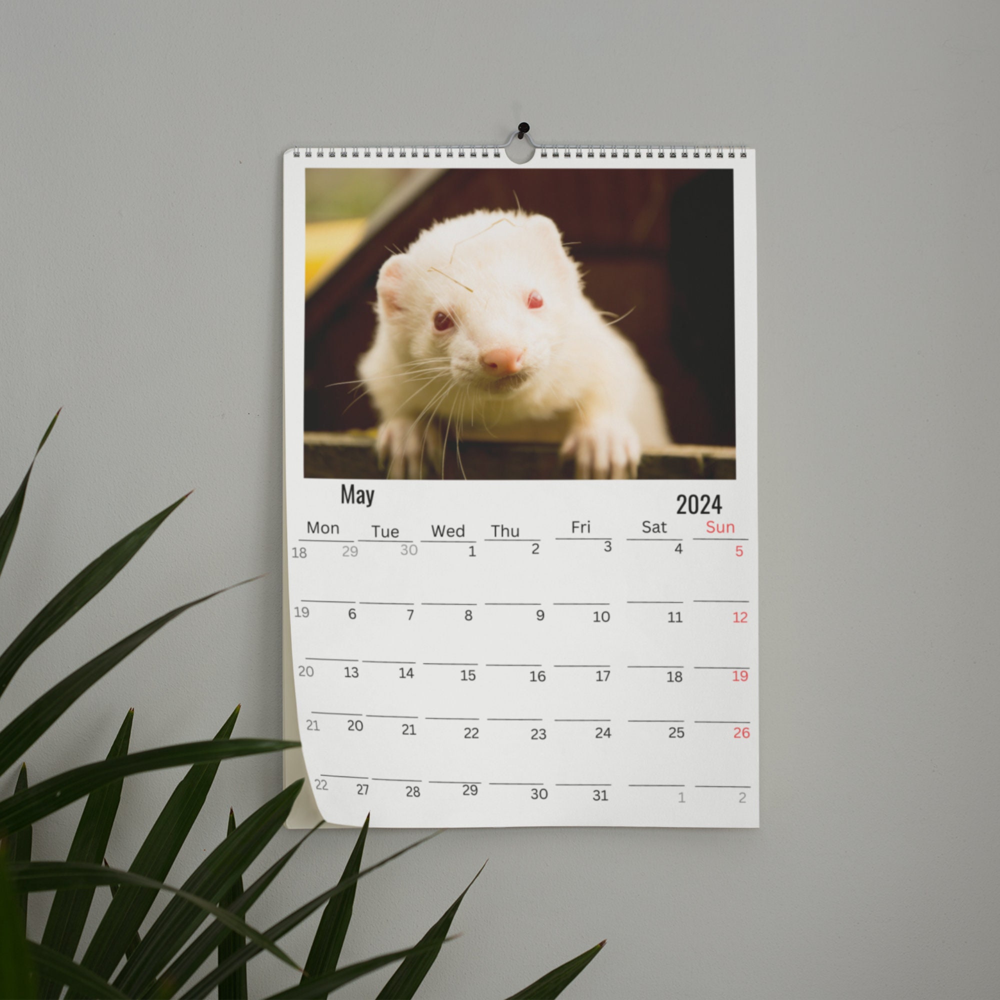 Ferrets Wall Calendar 2024 - Etsy