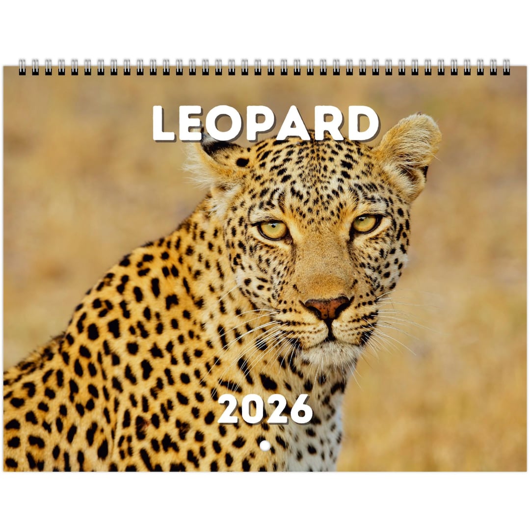 Leopard Wall Calendar 2026 - Etsy