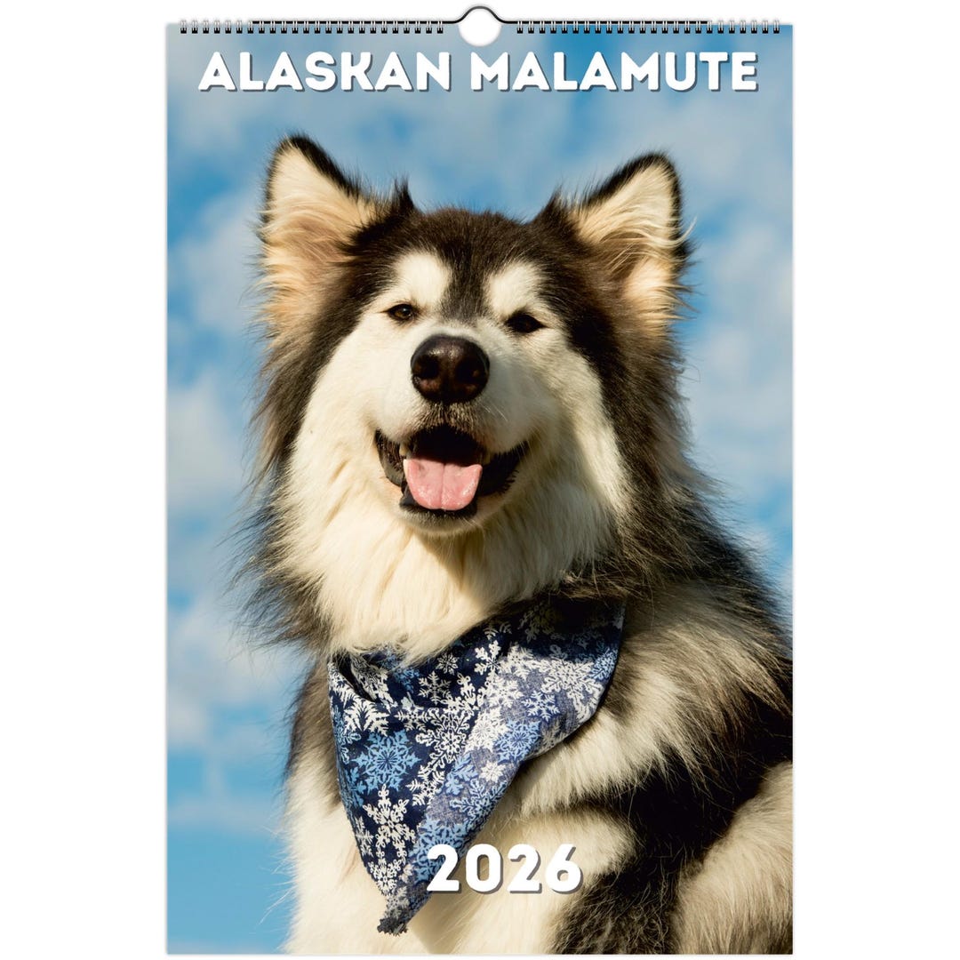 Alaskan Malamute Wall Calendar 2026 - Etsy