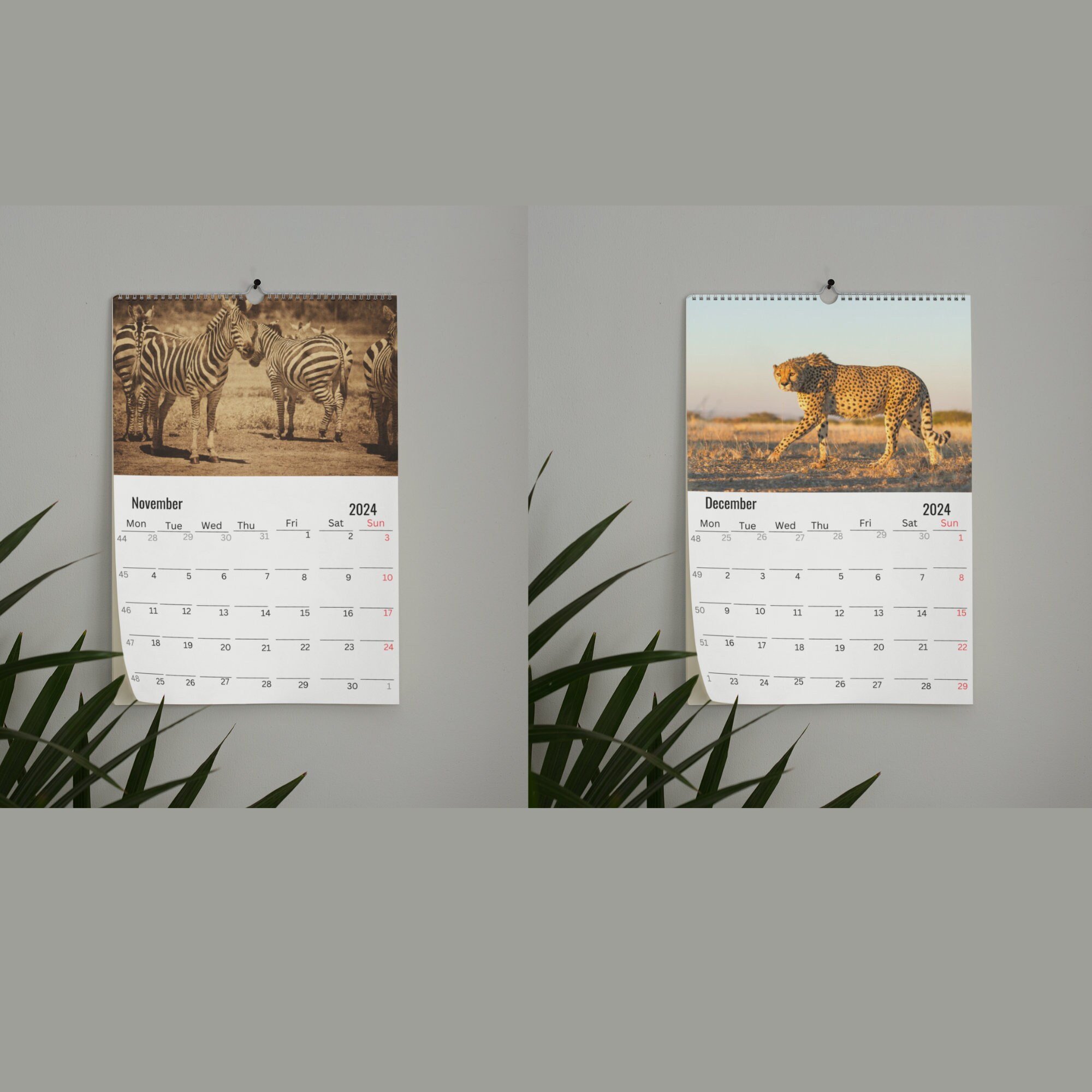 Safari Animals Wall Calendar 2024 - Etsy