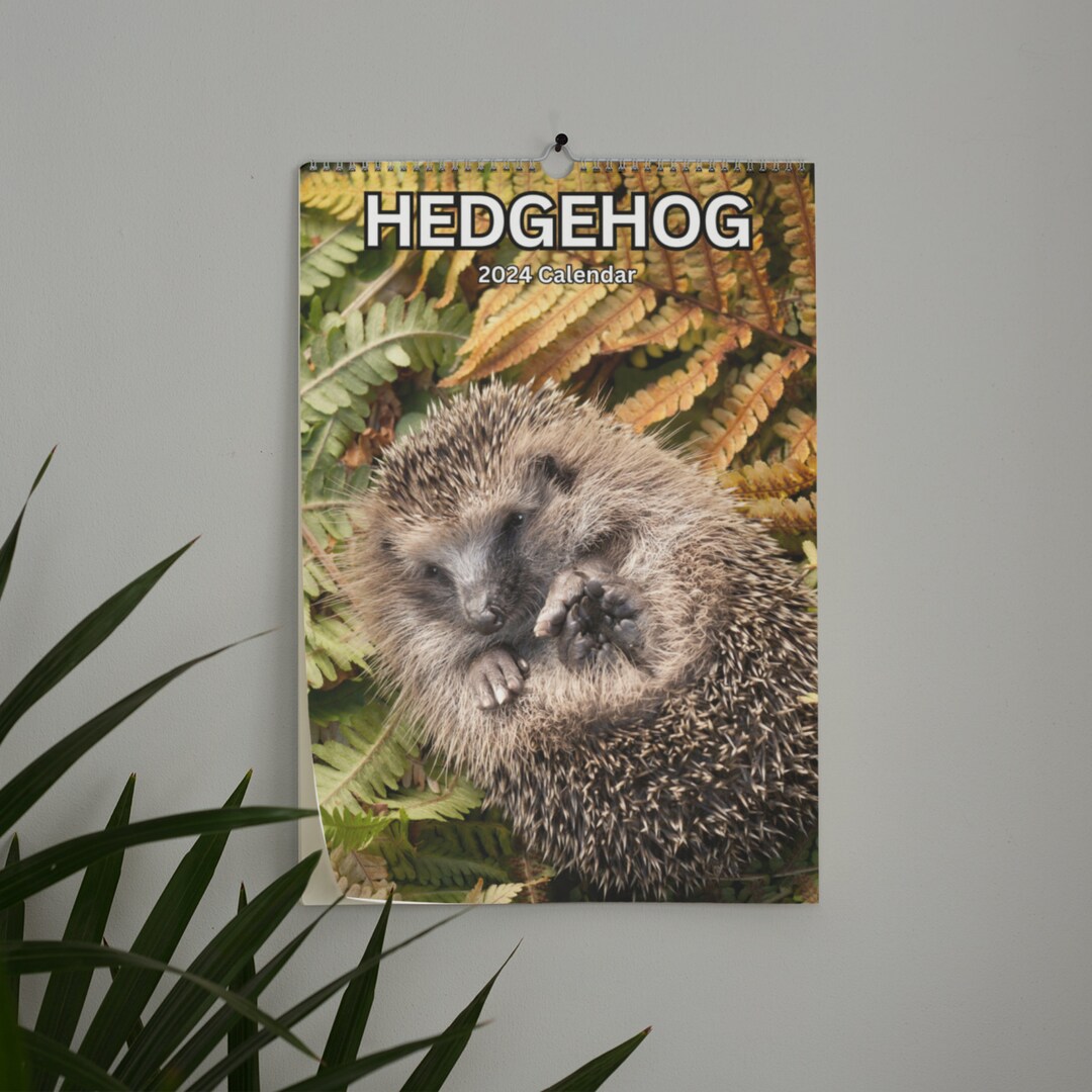 Hedgehog Wall Calendar 2024 - Etsy