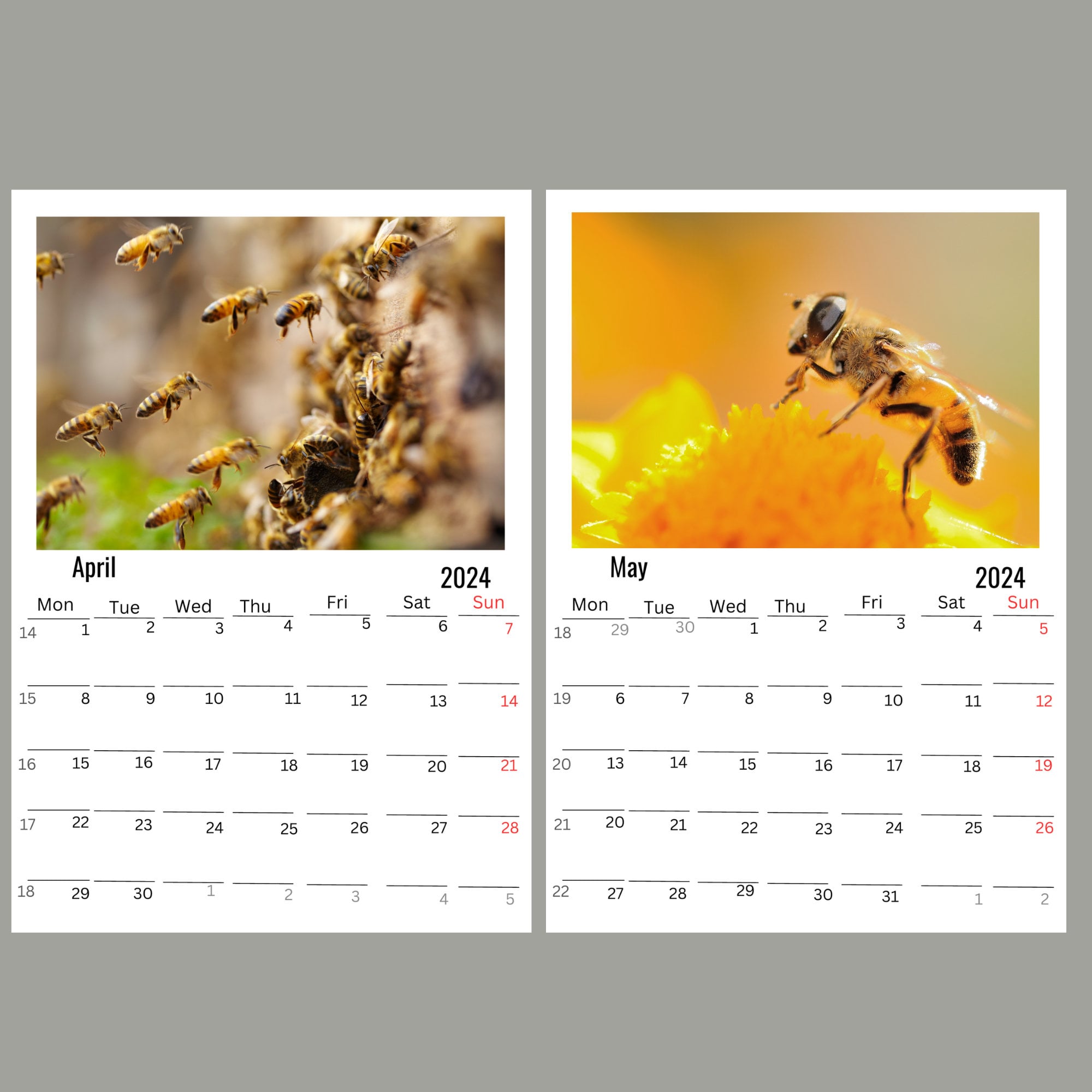 Bee Wall Calendar 2024 - Etsy