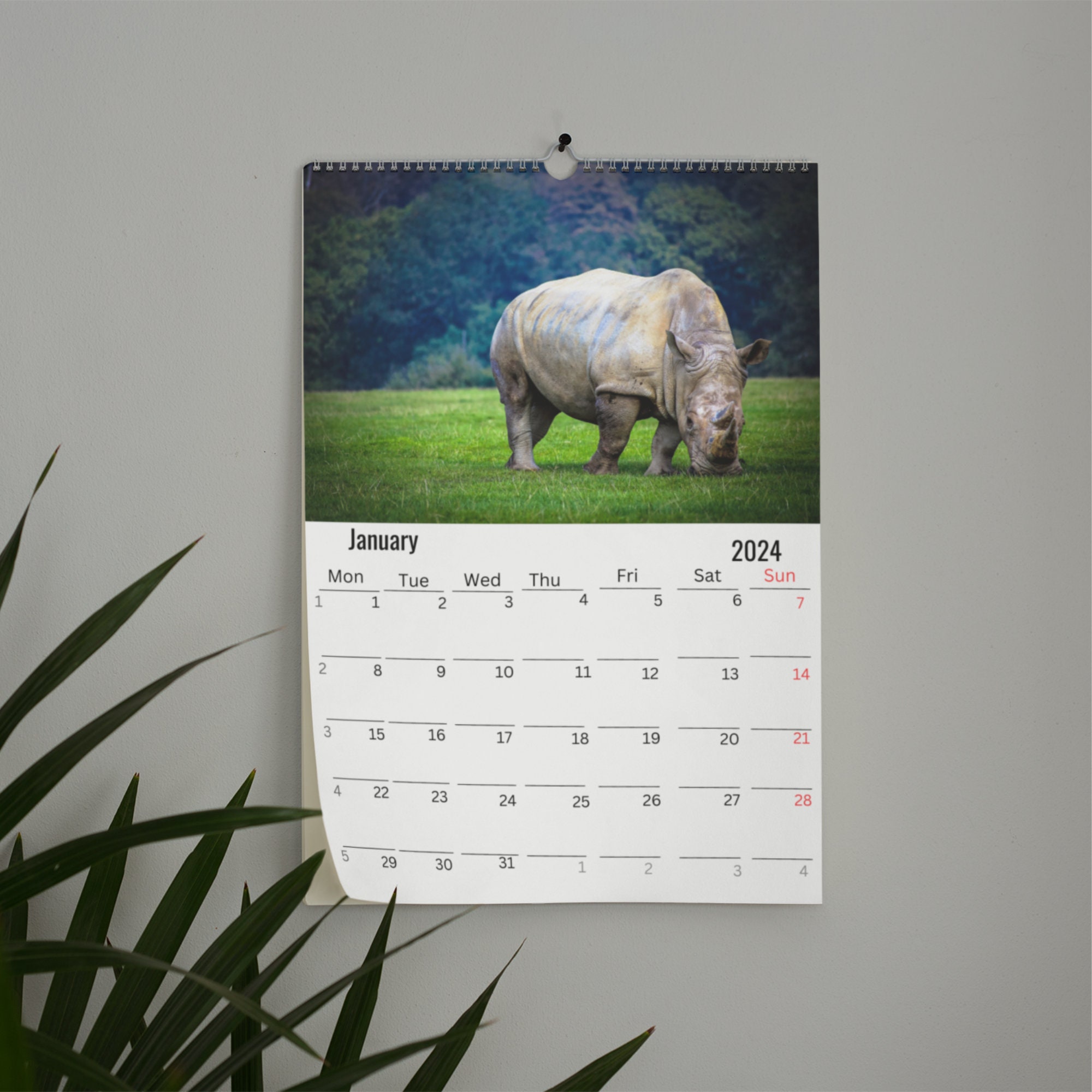 Rhinoceros Wall Calendar 2024 - Etsy