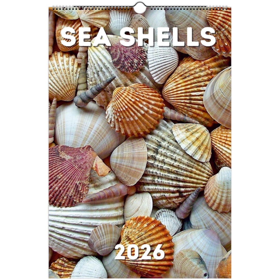 Sea Shells Wall Calendar 2026 - Etsy