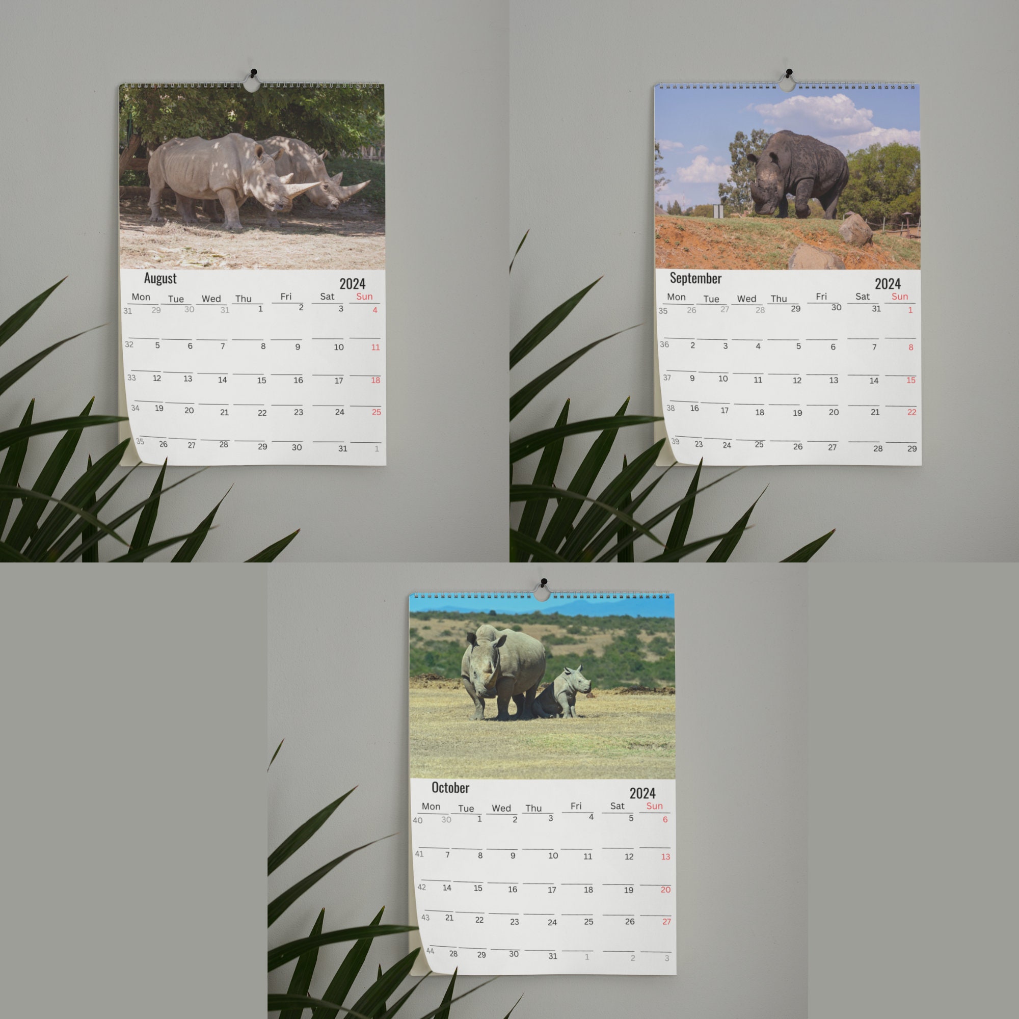 Rhinoceros Wall Calendar 2024 - Etsy