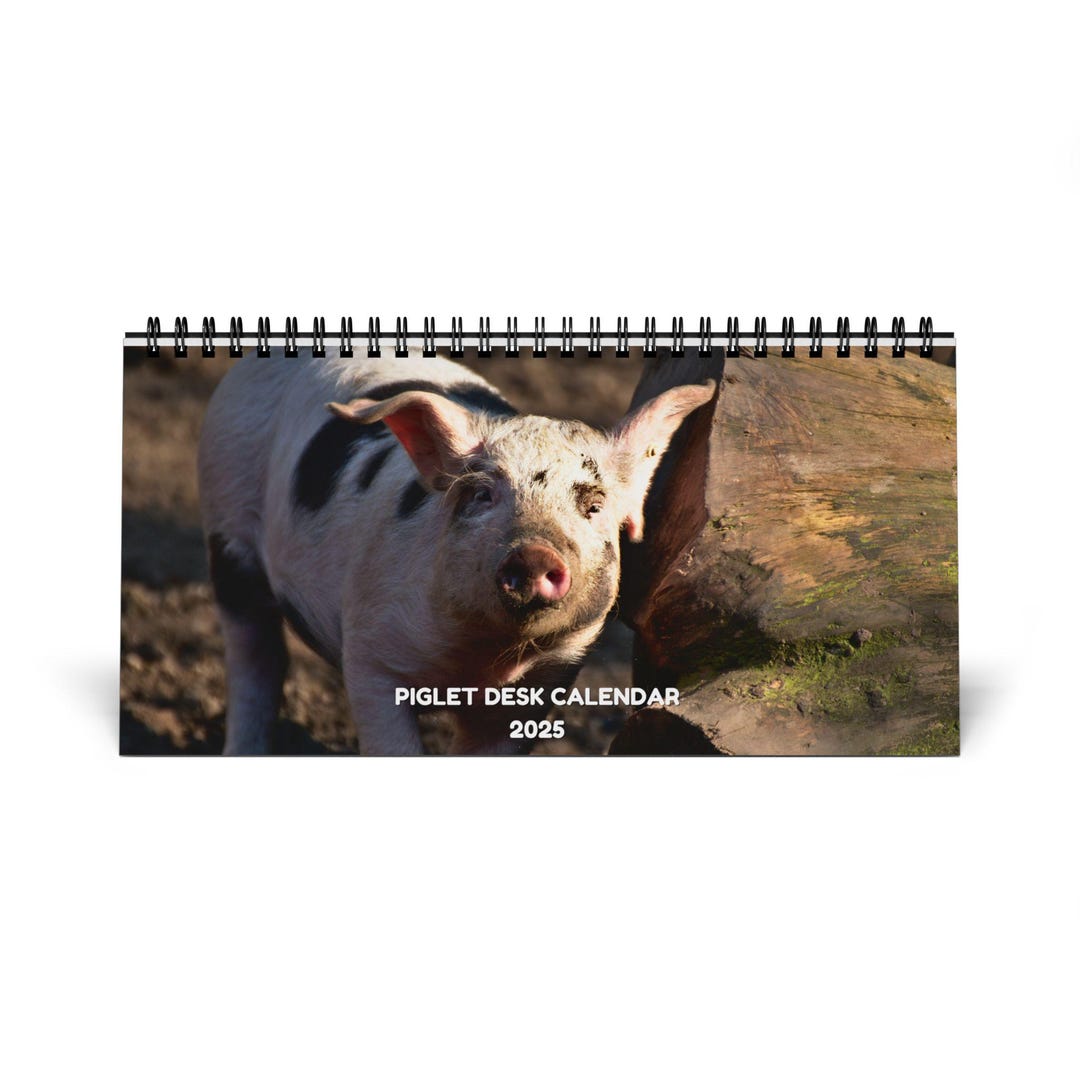 Piglet Desk Calendar 2025 - Etsy