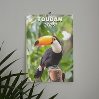 Toucan - Etsy
