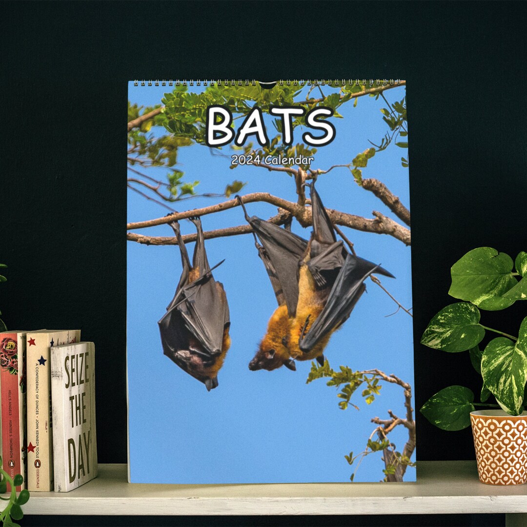 Bats Wall Calendar 2024 - Etsy