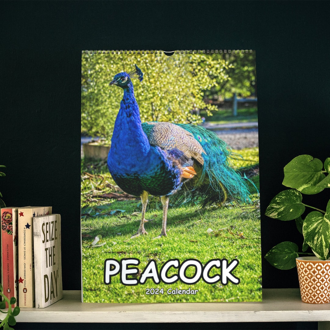 Peacock Wall Calendar 2024 - Etsy