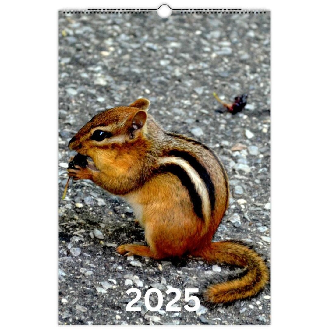 Chipmunk Wall Calendar 2025 - Etsy