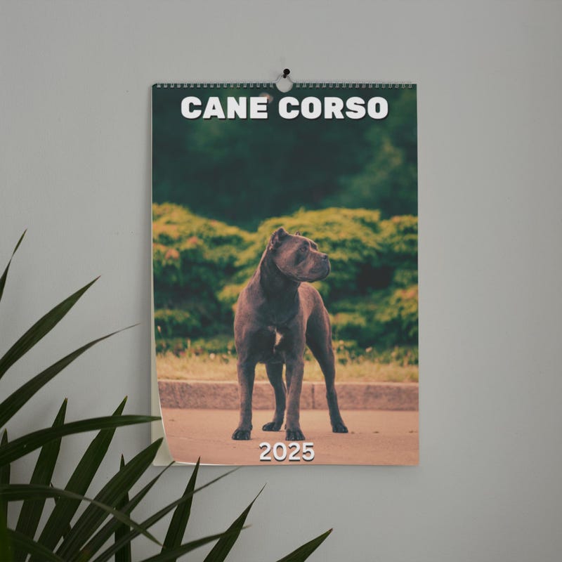 Cane Corso - Etsy