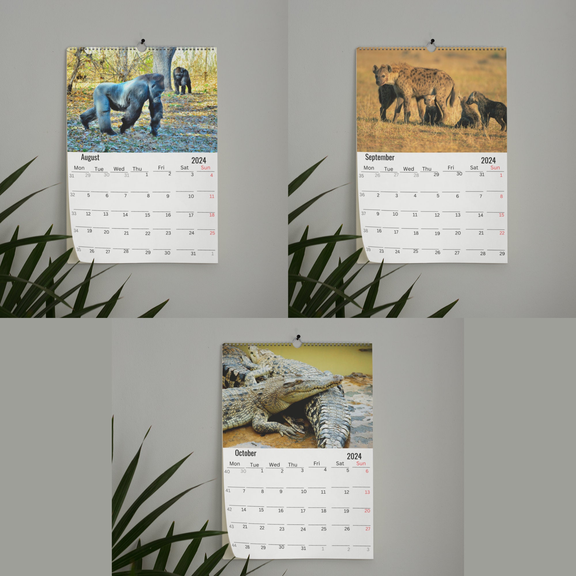 Safari Animals Wall Calendar 2024 - Etsy