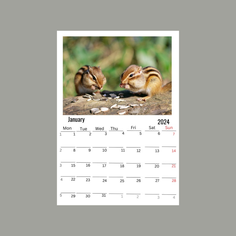 Chipmunks Wall Calendar 2024 - Etsy