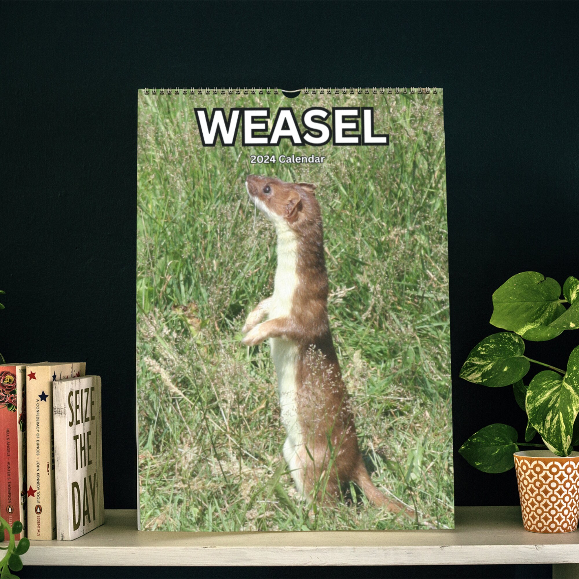 Weasel Wall Calendar 2024 - Etsy