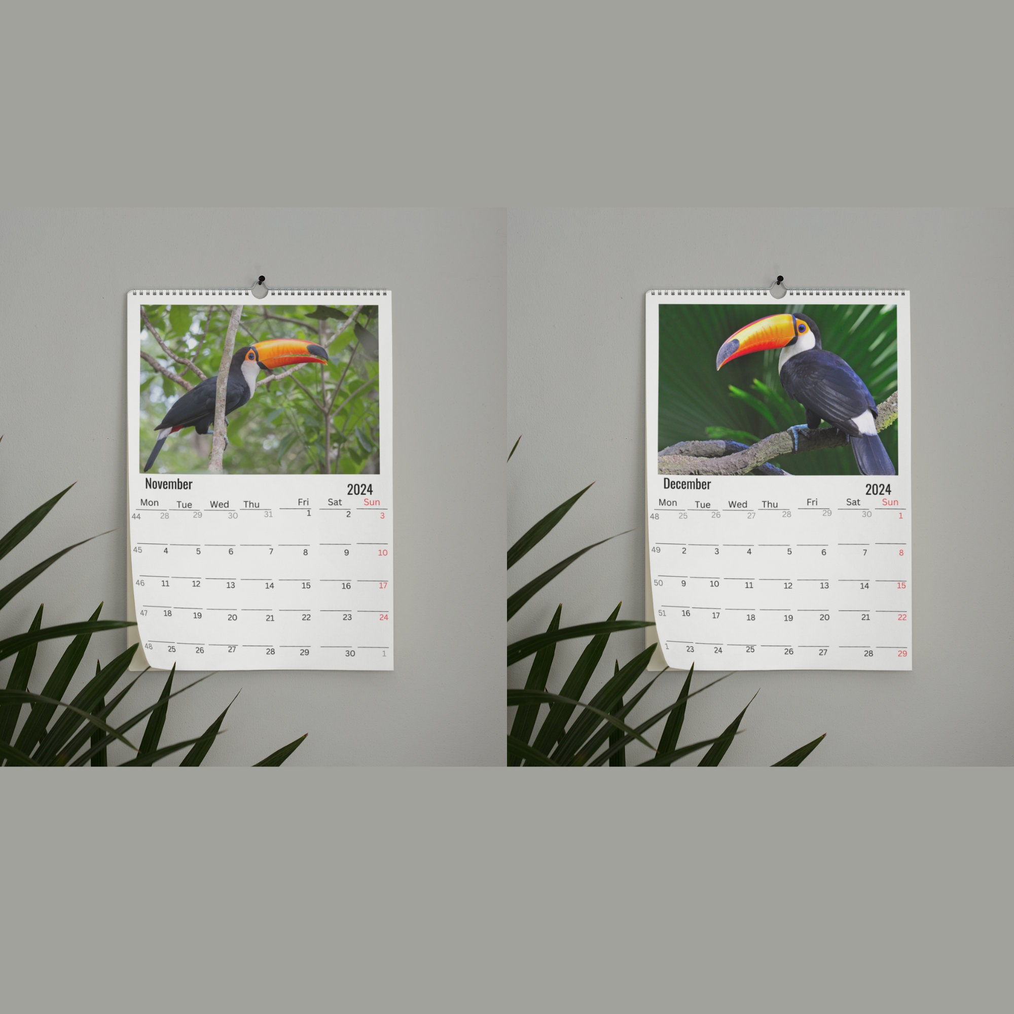 Toucan Wall Calendar 2024 - Etsy