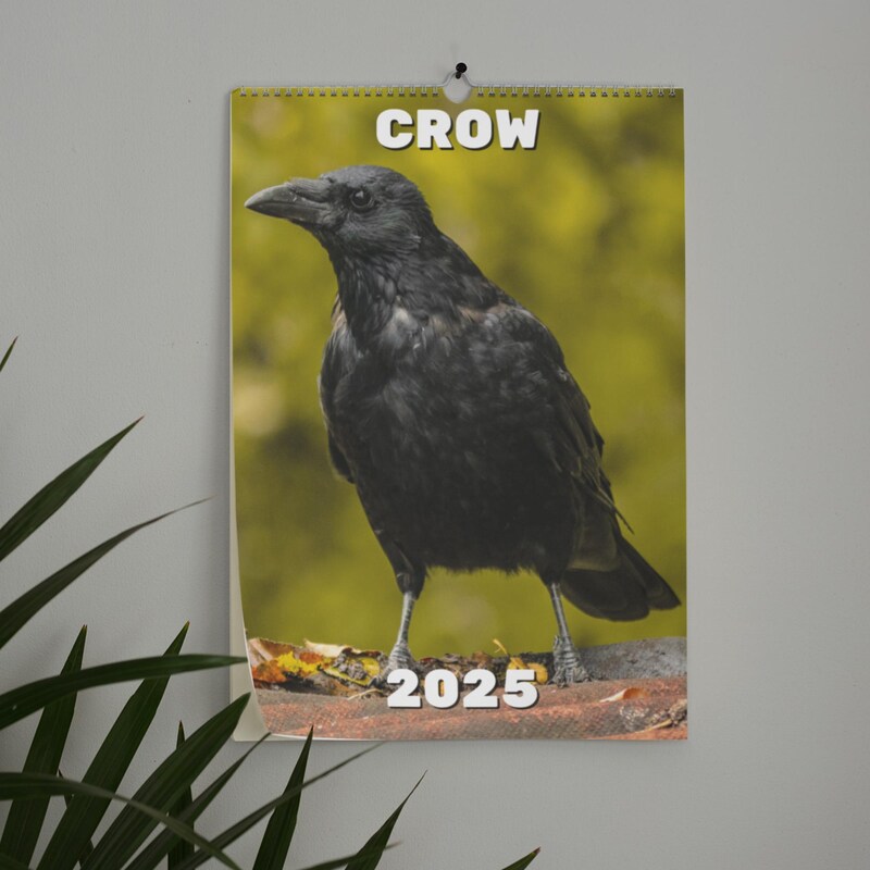 Crow Illustration - Etsy