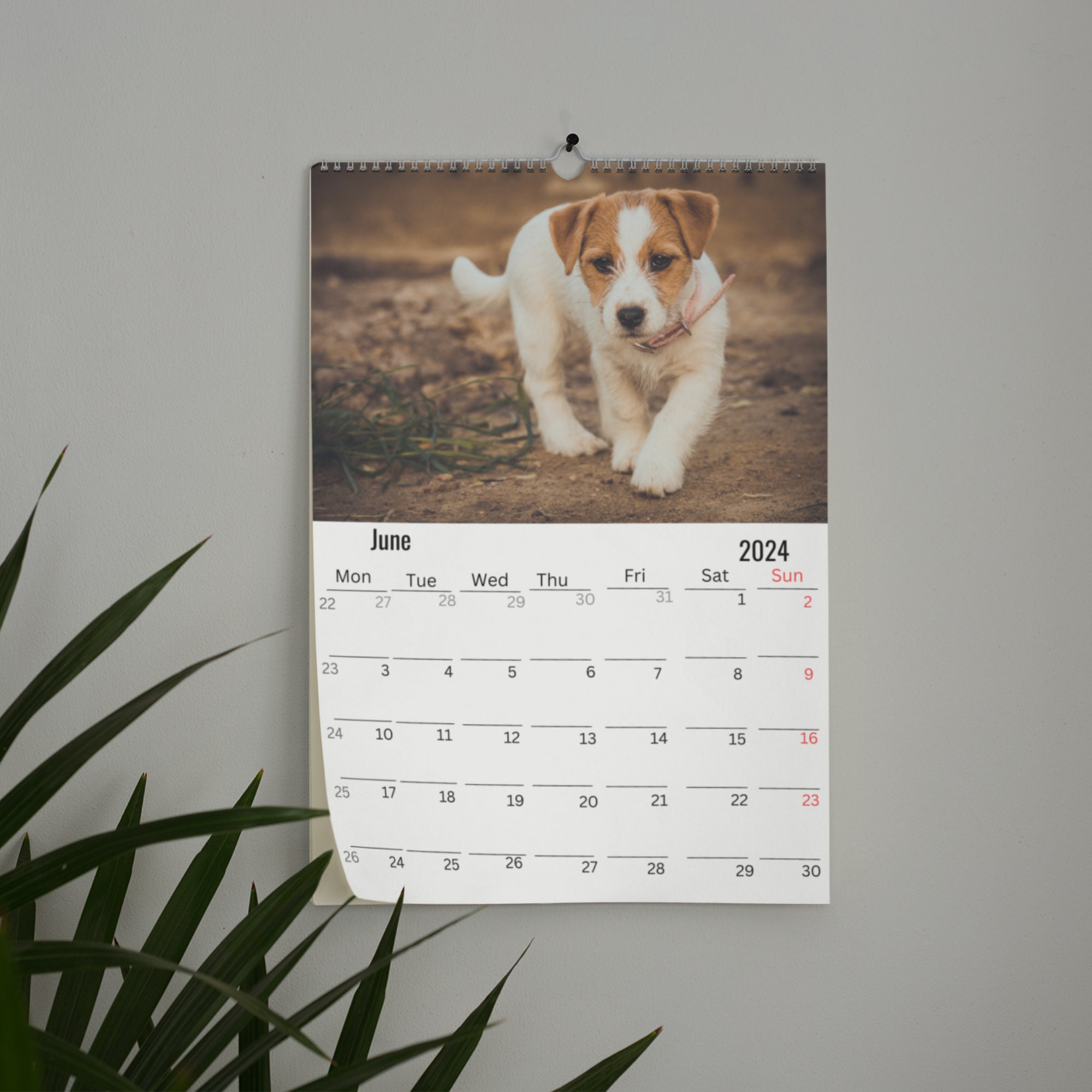 Jack Russells Wall Calendar 2024 Etsy