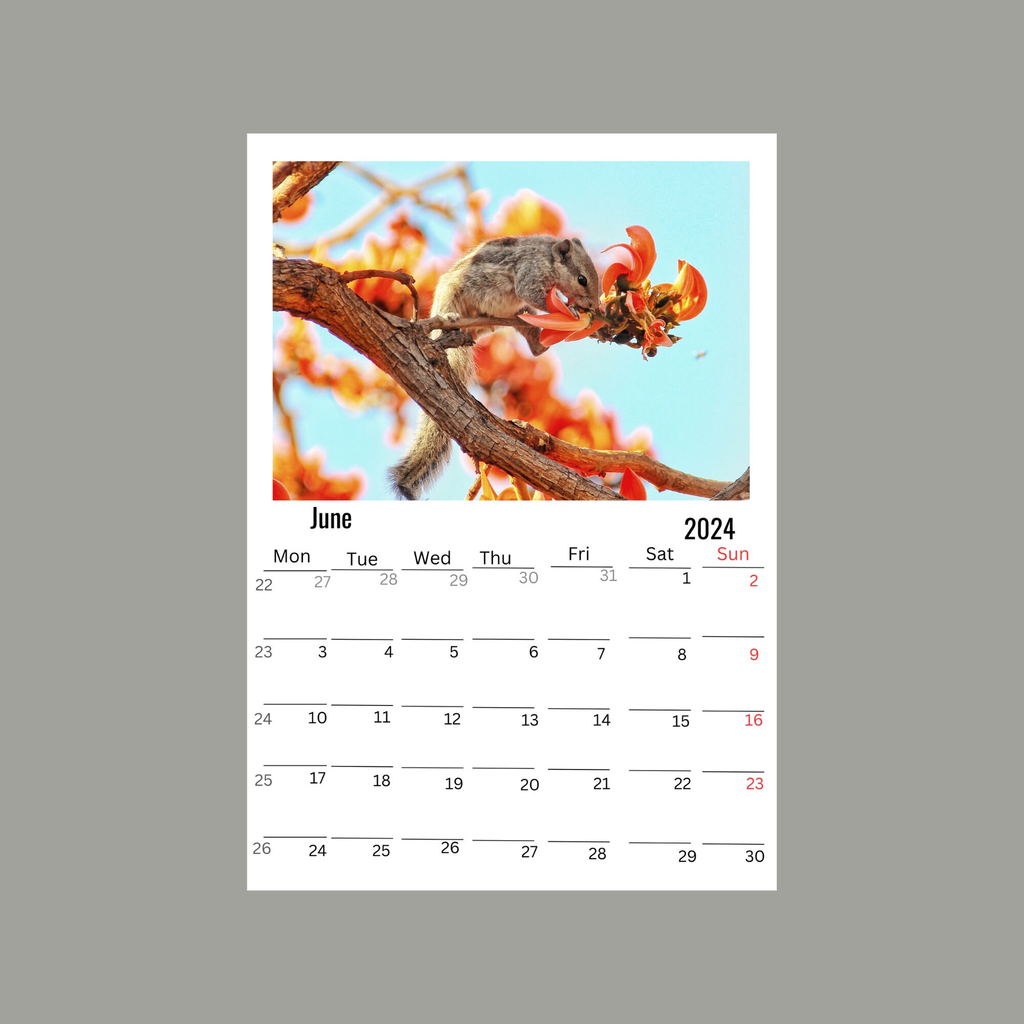 Chipmunks Wall Calendar 2024 - Etsy