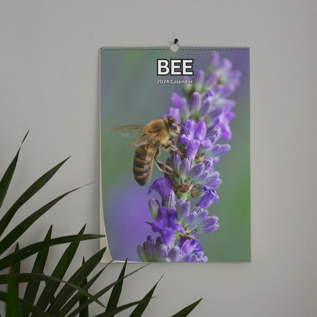 Bee Wall Calendar 2024 - Etsy