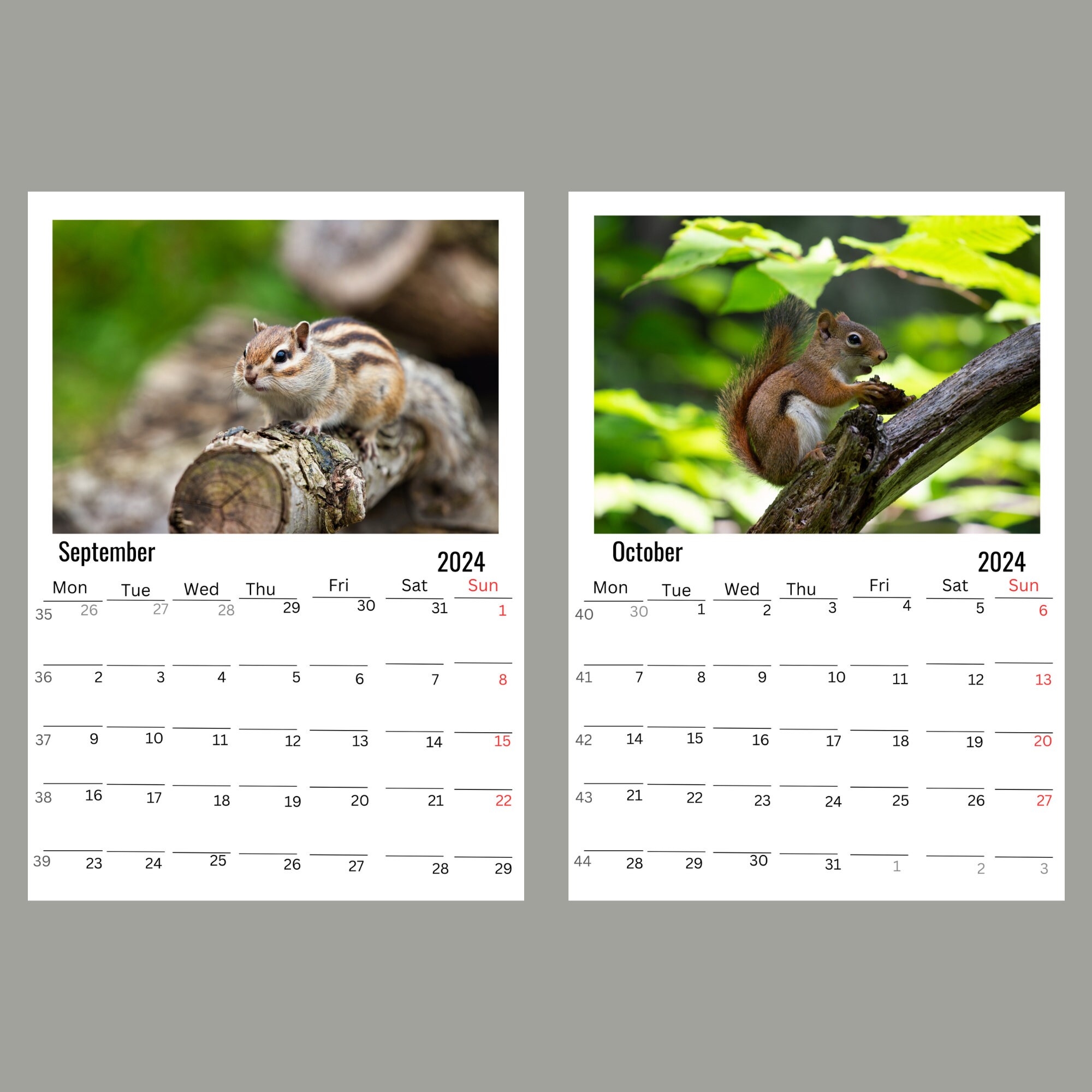Chipmunks Wall Calendar 2024 - Etsy